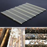 China Plastic Apiary Equipments Partition Grid Beehive Queen Excluder for sale