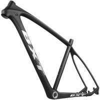 China Full Carbon Fiber MTB Frame 29er Hardtail T1000 3K Weave Gloss Matte Black 150kg Load for sale