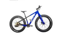 China 26 Inch Full Carbon Fat Tire Mountain Bike 12 Speed L-TWOO Snow MTB Bicycle for sale