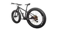 China 26 Inch Full Carbon Fat Tire Mountain Bike 12 Speed L-TWOO Snow MTB Bicycle for sale
