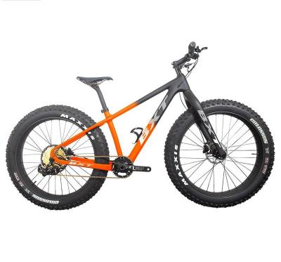 China 26 Inch Full Carbon Fat Tire Mountain Bike 12 Speed L-TWOO Snow MTB Bicycle for sale