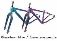 China 26 Inch Full Carbon Fiber Snow Fat Bike Disc Brake 12 Speed Beach Cycle 26x4.8 Tires for sale