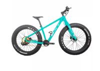 China 26 Inch Full Carbon Fiber Snow Fat Bike Disc Brake 12 Speed Beach Cycle 26x4.8 Tires for sale