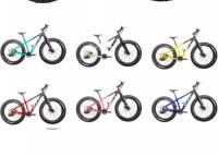 China 26 Inch Full Carbon Fat Tire Mountain Bike 12 Speed L-TWOO Snow MTB Bicycle for sale