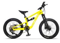 China 20 Inch Kids Carbon Fiber Full Suspension Mountain Bike Frame 80mm Travel Boost 148x12mm for sale