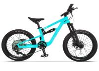 China 20 Inch Full Suspension Carbon Mountain Bike 10 Speed Kids MTB 120-135cm Height for sale