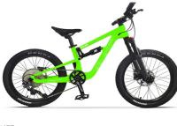 China 20 Inch Full Suspension Carbon Mountain Bike 10 Speed Kids MTB 120-135cm Height for sale