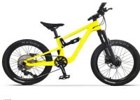 China 20 Inch Full Suspension Carbon Mountain Bike 10 Speed Kids MTB 120-135cm Height for sale