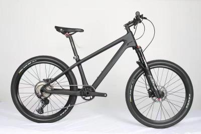 China 20er MTB Mountain Childrens Disc Brake Bikes Shimano 10 Speed for sale