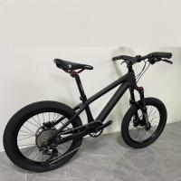 China 24 Inch Kids Carbon Fiber Mountain Bike Shimano 10 Speed Disc Brake MTB for sale
