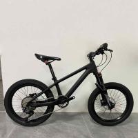 China 24 Inch Kids Carbon Fiber Mountain Bike Shimano 10 Speed Disc Brake MTB for sale