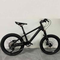 China 24 Inch Kids Carbon Fiber Mountain Bike Shimano 10 Speed Disc Brake MTB for sale