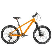 China 24 Inch Kids Carbon Fiber Mountain Bike Shimano 10 Speed Disc Brake MTB for sale