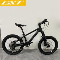 China 24 Inch Kids Carbon Fiber Mountain Bike Shimano 10 Speed Disc Brake MTB for sale