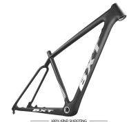 China 29er Carbon Fiber MTB Bike 11 Speed Disc Brake Complete Mountain Bike Customizable for sale