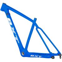 China 29er Carbon Fiber MTB Bike 11 Speed Disc Brake Complete Mountain Bike Customizable for sale
