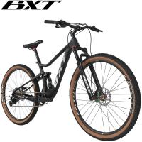 China Adults Complete Carbon Bike Shockingproof Mountain Bicycle 11 Speed for sale