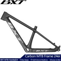 China 24er Kids Sports MTB Bicycle Frame Full Carbon Fiber T1000 1250g Mountain Bike Frame for sale