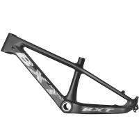 China 20er Kids Carbon Fiber MTB Frame T1000 Hardtail 1100g for 120-135cm Height for sale