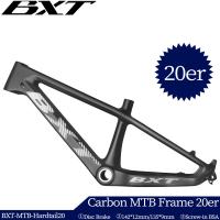 China 20er Kids Carbon Fiber MTB Frame T1000 Hardtail 1100g for 120-135cm Height for sale