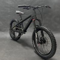 China 20er Kids Mountain Bike Carbon Frame Shimano 10 Speed Disc Brake Children Bicycle 10.8kg for sale