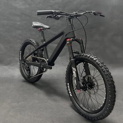 China 20er Kids Mountain Bike Carbon Frame Shimano 10 Speed Disc Brake Children Bicycle 10.8kg for sale