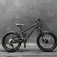 China 20er Kids Mountain Bike Carbon Frame Shimano 10 Speed Disc Brake Children Bicycle 10.8kg for sale