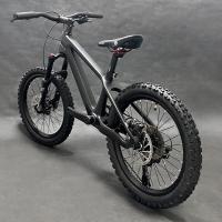 China 20er Kids Mountain Bike Carbon Frame Shimano 10 Speed Disc Brake Children Bicycle 10.8kg for sale