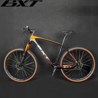 China Full Carbon 29er Mountain Bike Disc Brake Shimano M5100 11 Speed MTB for sale
