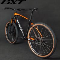 China Full Carbon 29er Mountain Bike Disc Brake Shimano M5100 11 Speed MTB for sale