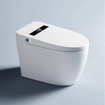 China Home Bathroom Bidet Intelligent Smart Toilet Humanized Design Floor Installation for sale