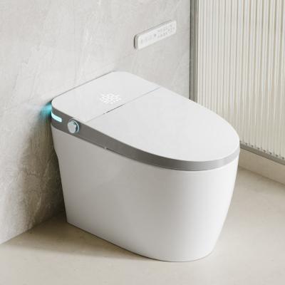China Automatic Bathroom Ceramic Smart Toilet Intelligent WC Bidet Toilet Sanitary Ware OEM for sale