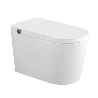 China Automatic Flush Voice Control Intelligent Smart Toilet Luxury Style With Night Lamp for sale