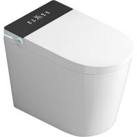 China Automatic Flushing And Bidet Bathroom Smart Toilet With Antibacterial Seat Customized for sale
