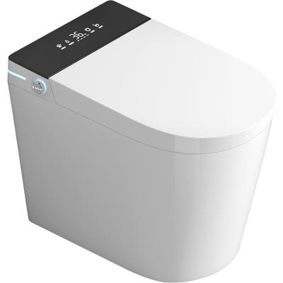 China Automatic Flushing And Bidet Bathroom Smart Toilet With Antibacterial Seat Customized for sale