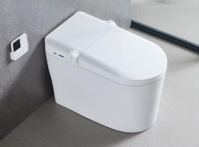 China Dual Flush Bathroom Smart Toilet Including Night Light and Rated Voltage AC220V50Hz Ideal for Commercial Restroom Upgrades for sale