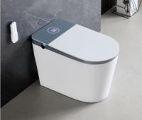 China Temperature Seat Bathroom Smart Toilet Including Soft Close Intelligent Toilet Seat Cover Rated Voltage AC220V50Hz Designed for Sanitation for sale