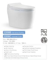 China Smart Toilet with Instant Heating Type, Noise Level Less Than 40 DB, and Automatic Self-cleaning Nozzle for Modern Bathrooms for sale