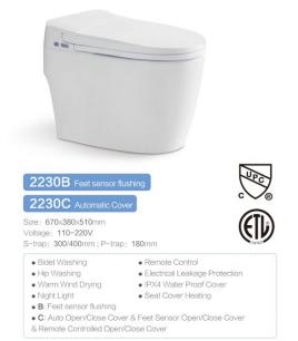 China Smart Toilet with Less Than 40 DB Noise Level, Remote Control And Side Panel, and Heated Seat With Soft Close for Ultimate Comfort for sale