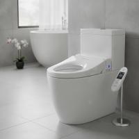 China Automatic Self Cleaning Nozzle Bathroom Smart Toilet Remote Control And Side Panel For Smart Toilet Experience for sale