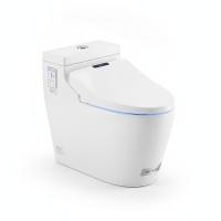 China Automatic Advanced Bathroom Toilet Floor Mounted Intelligent Flush System Comfortable Seating Easy Installation for sale