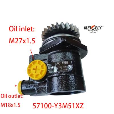 China Hot Sale 57100-Y3M51XZ Power Steering Pump For JAC Geerfa for sale