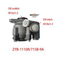 China Hot Selling Top Quality Power Steering Pump For FORD Truck for sale