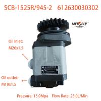 China Hot Sale Steering Pump 612630030302 Fit For Qingdao FAW Shaanxi Beiben for sale