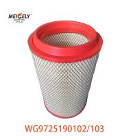 China Air Filter Core WG9725190102 For SINOTRUK HOWO WG9725190103 for sale