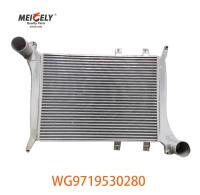 China OEM WG9719530280 For Howo Intercooler Assembly WG9719530281 for sale