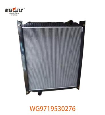 China Original WG9719530276 Radiator Assembly WG9725530270 Fit For HOWO Truck for sale