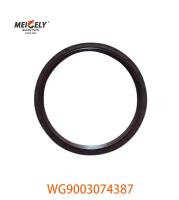 China HOWO Truck Spare Parts Oil Seal OEM WG9003074387 WG9112340114 for sale