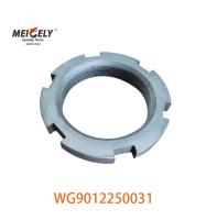 China Picture Display WG9012250031 Heavy Truck Nut for Sinotruk Howo Truck for sale