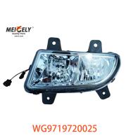 China Sinotruk Howo Engine Heavy Duty Truck Grouped Lamps WG9719720025 WG9719720001 for sale